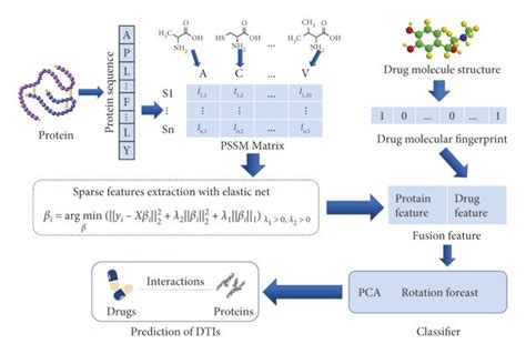 Flow Chart For Detecting Dtis By The Novel Model Download Scientific Diagram