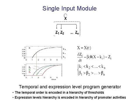 Network Motifs Simple Building Blocks Of Complex Networks