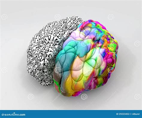 Left And Right Brain Concept Perspective Stock Illustration