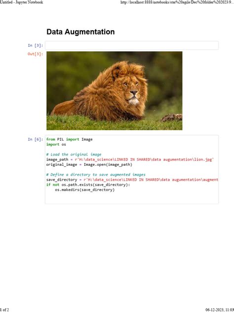 Data Augmentation Pdf Information And Communications Technology Computer Vision