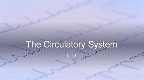 Circulatory System PPT Thescienceteacher Ie