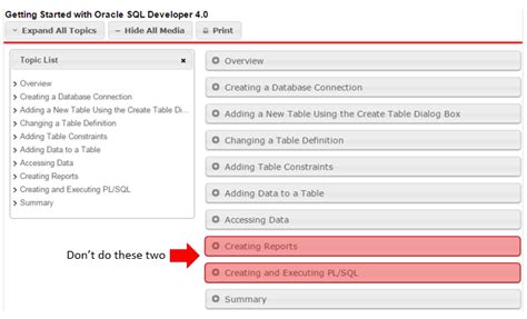 Sql Developer Database Systems