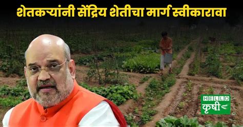 Organic Farming शेतकऱ्यांनी सेंद्रिय शेतीचा मार्ग स्वीकारावा अमित
