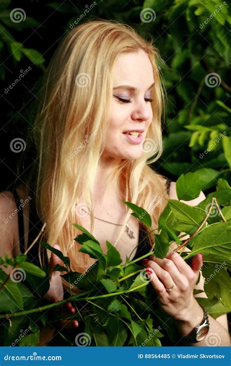 Blondine Im Wald Schauend Auf Dem Baumast Stockbild Bild Von Mode