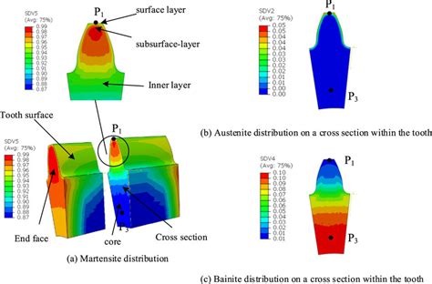 Predicted Microstructure Distribution Download Scientific Diagram