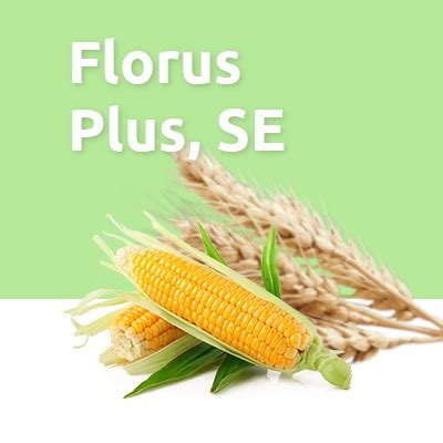 Florus Plus, SE | agarista.agricola.md