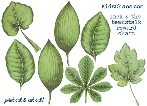 Beanstalk Leaves Picture Printable Editable Beanstalk Leaves Template