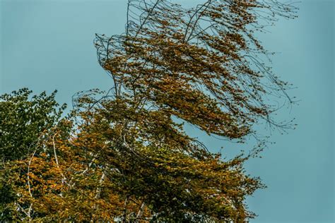 Новости Калуги и Калужской области Знамя Калуга