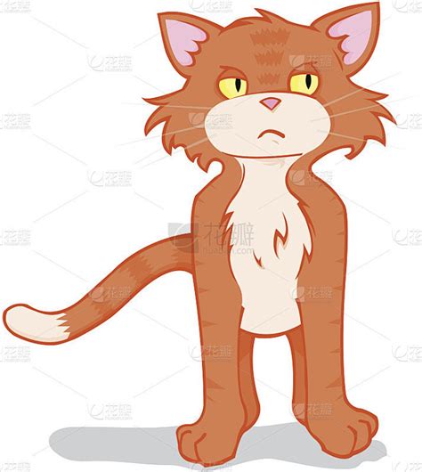 脾气暴躁的橙色的猫