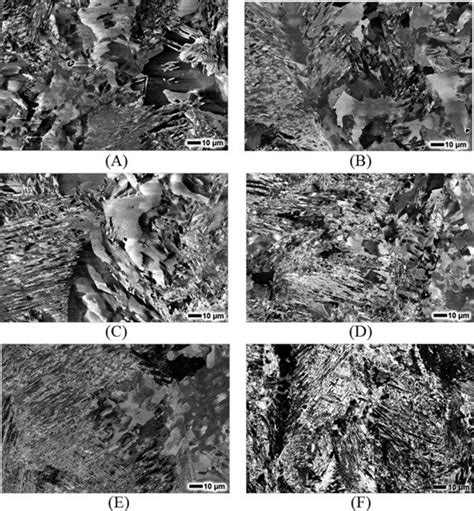 Microstructures Of Alloy B 023 Cu Annealed For 10 000 S At A Download Scientific Diagram