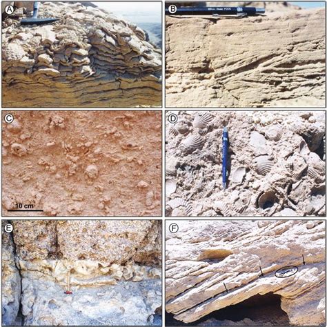 Pdf Tectono Sedimentary Models For Rift Basin Carbonate Systems
