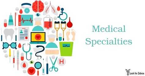 List Of Medical Specialties A Comprehensive Guide To Different