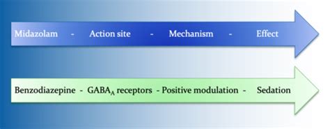 Targets Receptors And Dose Response Flashcards Quizlet