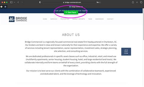 Get Rid Of Open Popup Button General Questions Elfsight Community