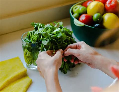 Coriandru Superaliment în detoxifierea de metale grele purafons ro
