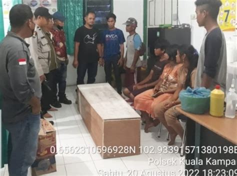 Seorang Wanita Karyawan Perusahaan Tewas Diterkam Harimau Suami Dan