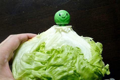 実験！ 「野菜の鮮度を長持ちさせるグッズ」って本当に効果あるの？ 価格comマガジン