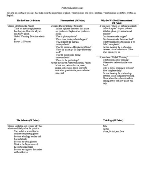 Photosynthesis Brochure Final Pdf Photosynthesis Global Warming