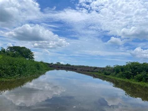 Corpamag Y Adr Finalizan Obras De Intervención En El Caño Los Micos