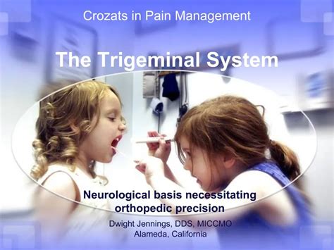 Ppt The Trigeminal System Powerpoint Presentation Free Download Id