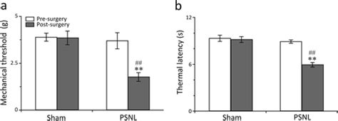 Partial Sciatic Nerve Ligation Psnl Resulted In Tactile Allodynia And