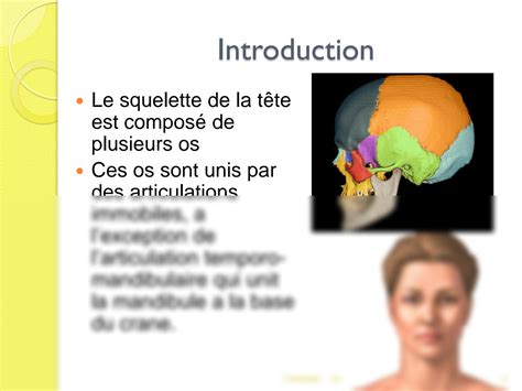 SOLUTION Pr Sentation Du Squelette Cranio Facial Studypool