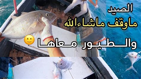 والله ياهي مساحبه ماوقف صيدنا Youtube