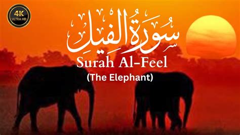 Surah Al Fill The Elephant World Of Listen Quran سورة الفيل Youtube