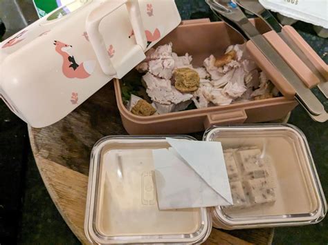 First Work Lunch In My New Bento Box Rbento