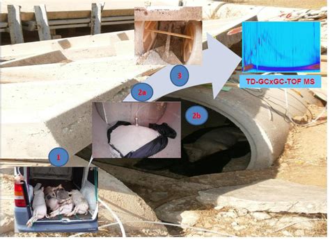Analysis Of Volatile Organic Compounds Atlas Of Science