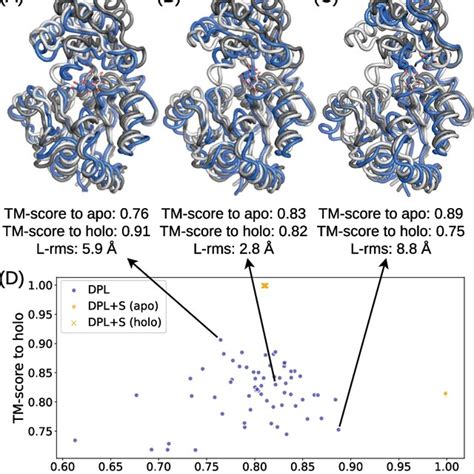 Distributions Of Protein Conformations Generated By Dpl For The Complex Download Scientific