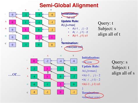 Ppt Sequence Alignment And Dynamic Programming Powerpoint