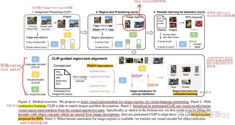 regionclip region based language image pretraining（论文介绍） 知乎