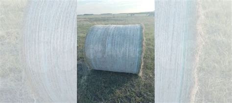 Продам сено в рулонах купить в Альменево Животные и зоотовары Авито