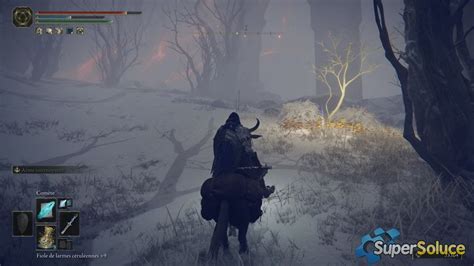 Elden Ring Walkthrough Forbidden Lands 007 Game Of Guides