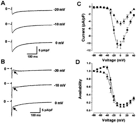Characteristics Of L Type Ca 2 Current Ical Recorded With Cs Rich