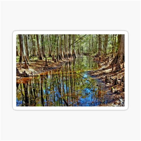 Lower Hillsborough River Watershed 1 Florida Sticker For Sale By