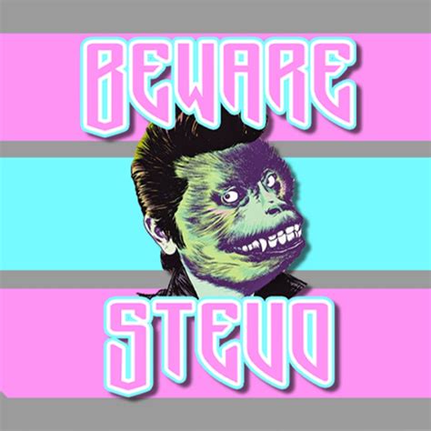 Beware Stevo Youtube