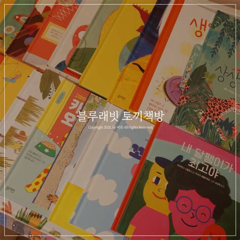 5세 전집추천 블루래빗 토끼책방 유아전집 네이버 블로그