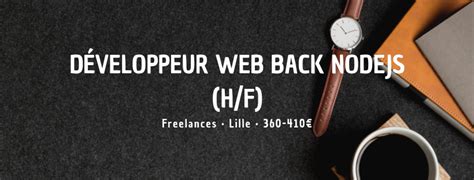Développeur Web Back NodeJS H F Insitoo Lille Mission Freelances