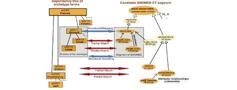 example of application of partial string matches and structure based download scientific