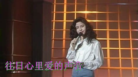袁凤瑛《天若有情》这首歌和追梦人各有所爱 怀旧还是经典的旋律音乐流行音乐好看视频