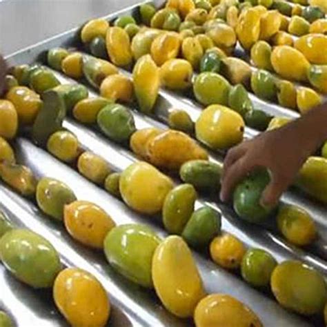 Mango Jam Processing Machine High Efficiency And Easy Operation
