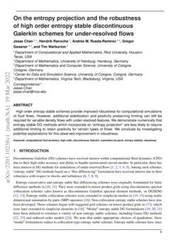 On The Entropy Projection And The Robustness Of High Order Entropy