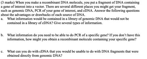 Solved 3 Marks When You Make A Recombinant Dna Molecule