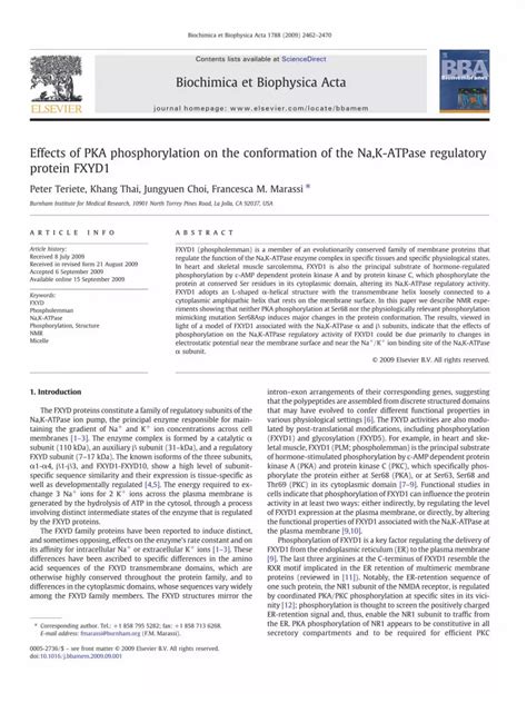 Pdf Effects Of Pka Phosphorylation On The Conformation Of The Nak
