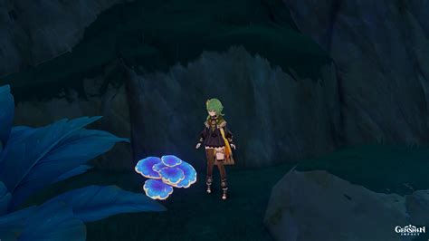 Genshin Impact Rukkashava Mushroom Locations And Rukkashava Farming