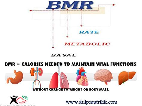 Basal Metabolic Rate Shilpsnutrilife