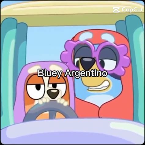 Pov Bluey Argentino Youtube