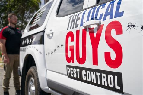 Does Pest Control Kill Spiders The Local Guys
